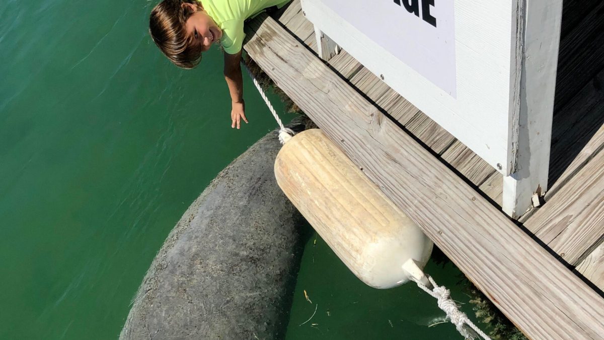 Cow Key Marina | Key West Watersport Tours & Rentals